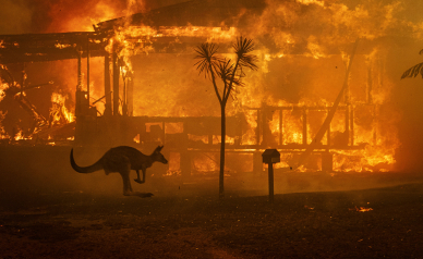 Australie & Autres Regards | Festival Photo La Gacilly